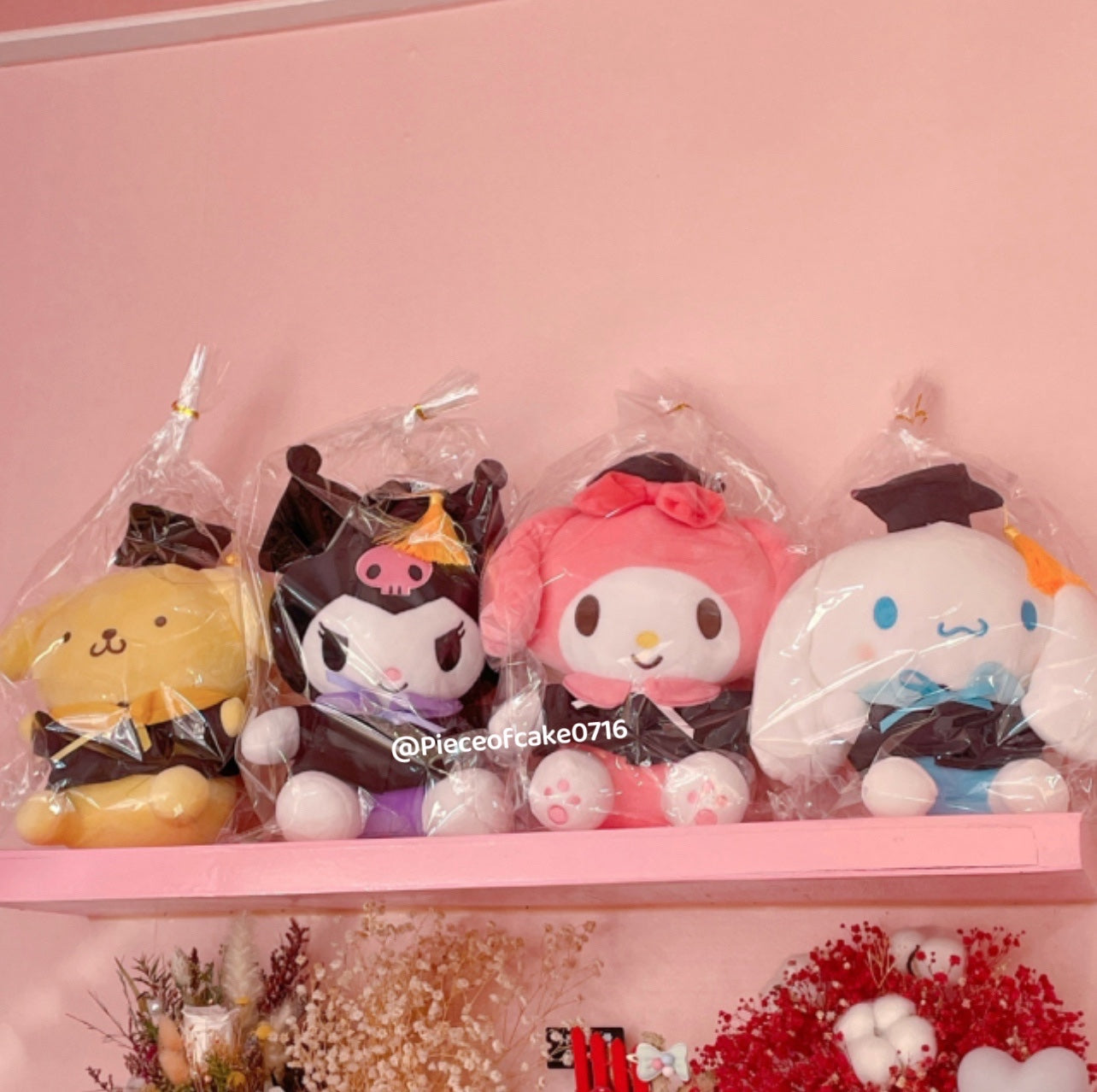 Sanrio Happy Graduation Pompompurin Big Plush – Pieceofcake0716